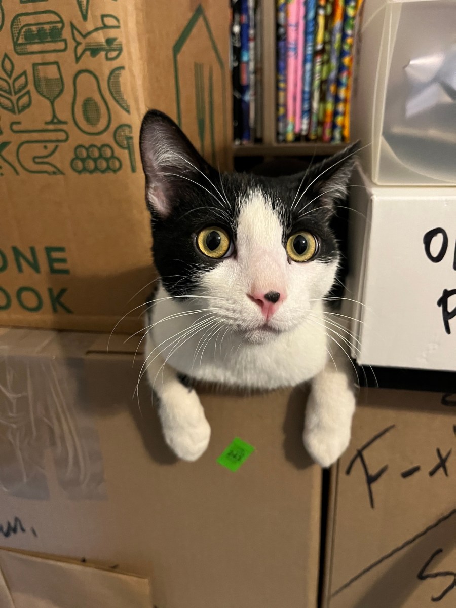 Guest Blog Post: The Fayetteville Friend’s Studio Project, Part II ...