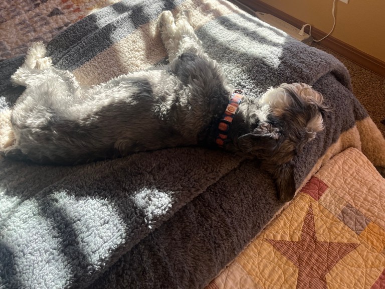 Studio – tierneycreates